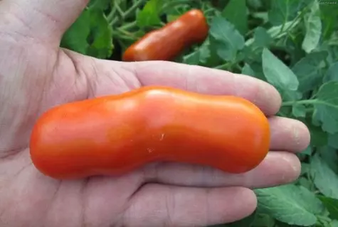 Ilgas pomidorai