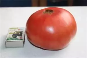 Charakterystyka i opis różnych pomidorów Scorpio, jego wydajność