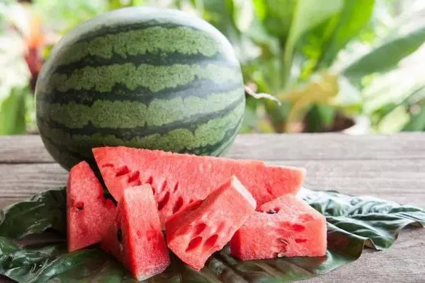 Amandla e-Watermelon