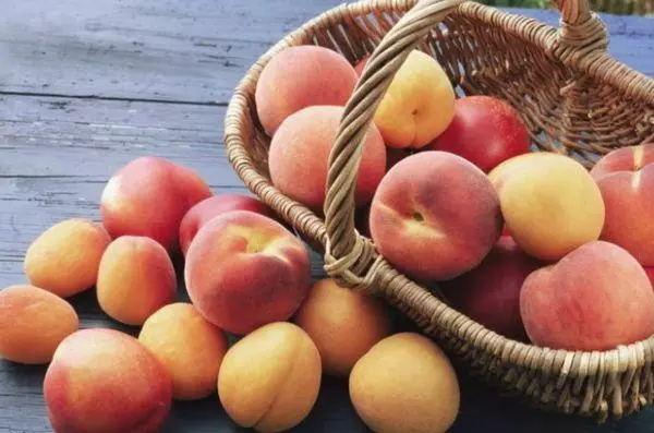 Mga peach ug apricots