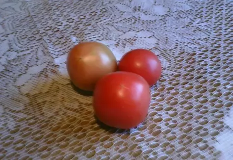 Tomatat Puzzati on the table