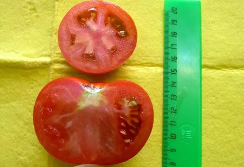 Wygląd Pomidor Różowy Soliusz