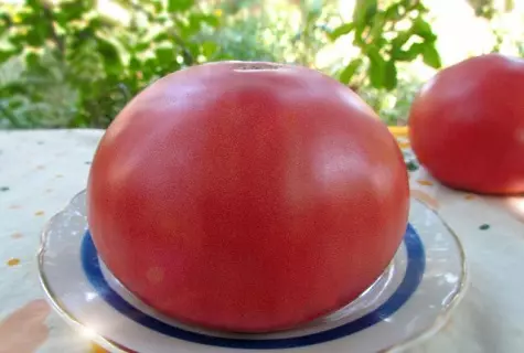 大西红柿