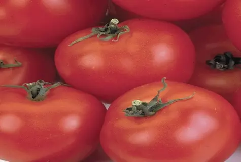 بہت سے ٹماٹر