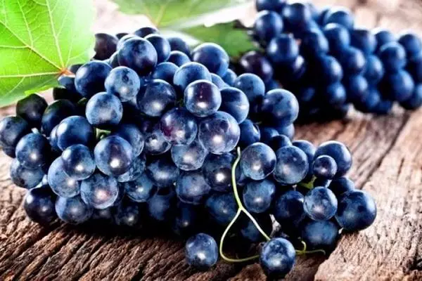 घरामध्ये काळा द्राक्षे पासून वाइन: 6 सर्वोत्तम तयारी पाककृती