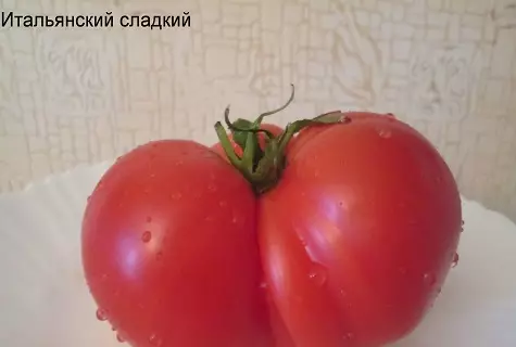 Enorme tomaat