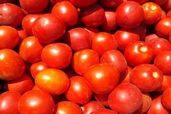 Ọtụtụ Tomato