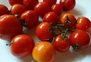 Karakteristik lan katrangan tomat ing sisih lor, ngasilake