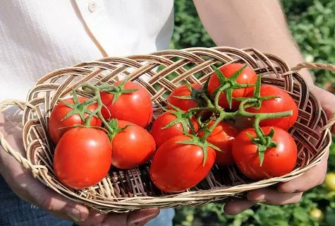 Dėklas su pomidorais