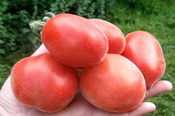 Peaches Tomatoes.