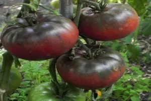 Beschreiwung an Charakteristike vun Tomate schwaarze Baron