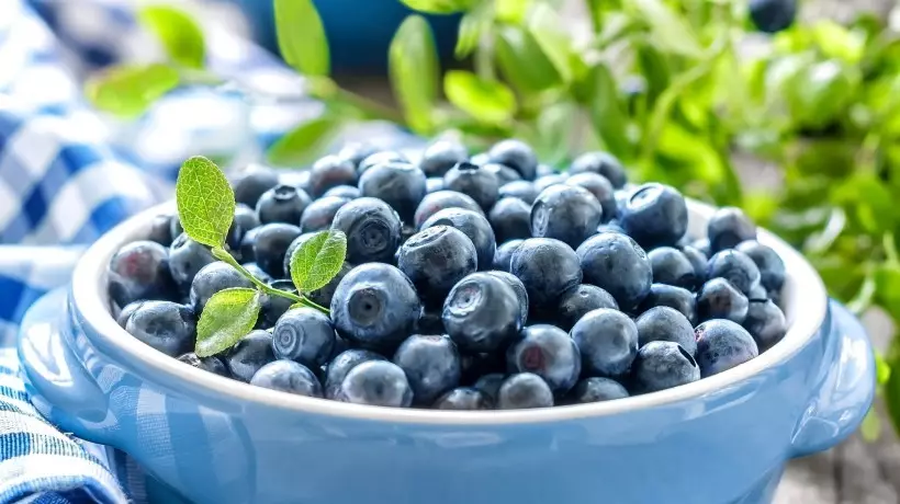 Freŝaj blueberries