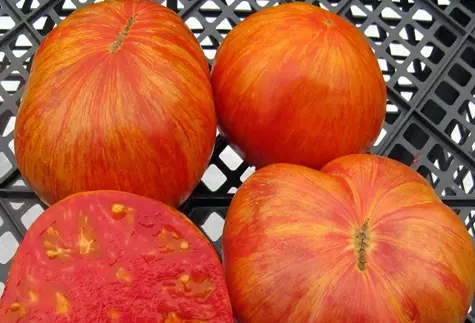 Rei de beleza de tomate: descrición e características de variedades, comentarios con fotos