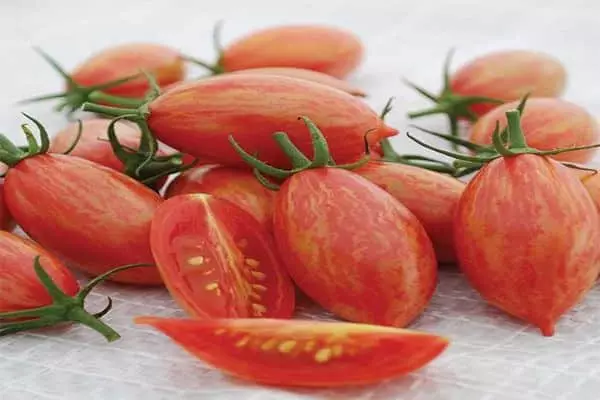 Variedades de tomate.