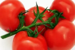 Tsanangudzo yeiyo tomato subarctic tomato, hunhu hwayo uye kurimwa