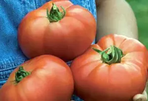 คำอธิบายของ Tomato Bift สีชมพูบรั่นดีและการดูแล