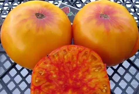 ظاهر گوجه فرنگی ویرجینیا آب نبات