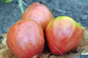 Beskriuwing en skaaimerken fan lianovide fariëteiten fan tomaten