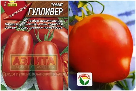 Tomate Gulliver haziak