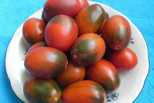 Tomates Hybrid.