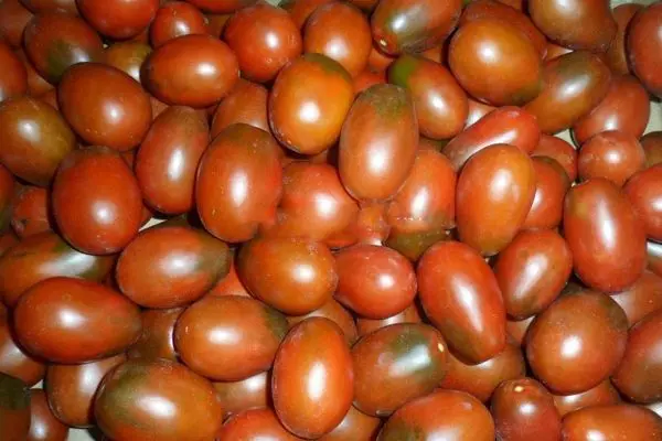 Vintage Tomatov.