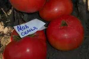 Ocjena paradajza Opis Moja porodica, rastuće karakteristike i žetva