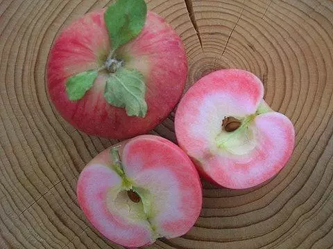 सेब गुलाबी मोती