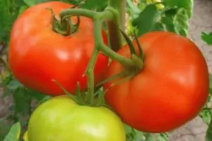 Tomato Markaros kaj ĝiaj karakterizaĵoj