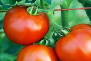 Opis rajčice sorte Sovereign F1, njegov prinos