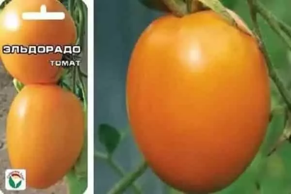 Tomatos siâp calon