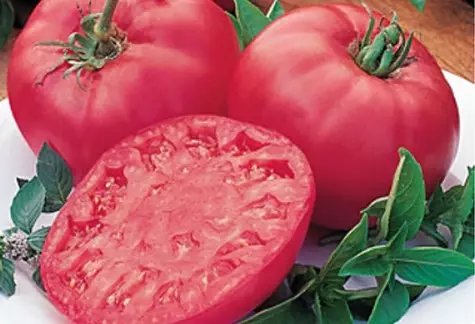 Aparência tomate beff rosa conhaque
