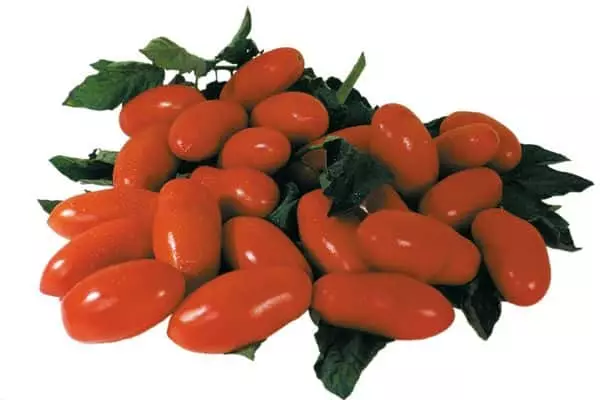Lange tomaten