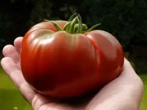 모노 마크 모자의 토마토 품종의 특성 및 설명, 그 수율