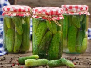 Top 12 resepten koken SALINOUS EN Lekker komkommers foar de winter