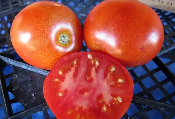 Aparencia Efemer de tomate.