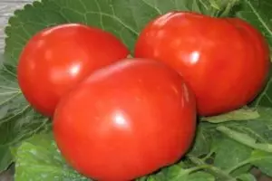 トマトさまざまなドロドの説明、成長と収穫の特徴