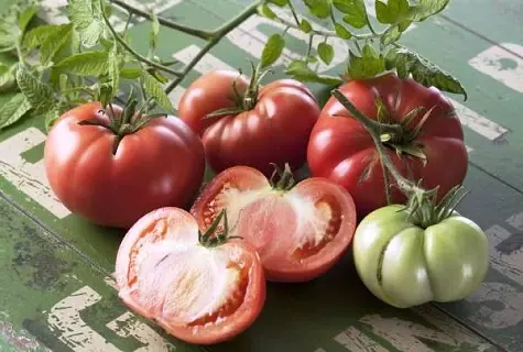 Trasiga tomater
