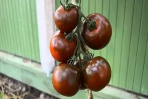 Karakteristisk og beskrivelse av Cumato Tomat-varianter, dets utbytte