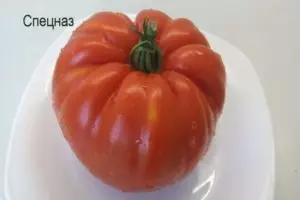 Карактеристики на домати специјални сили, Дахник Осврти