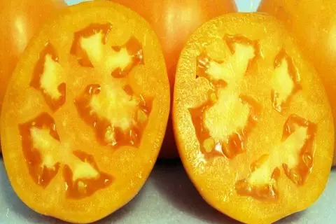 I-Tomato Giaring