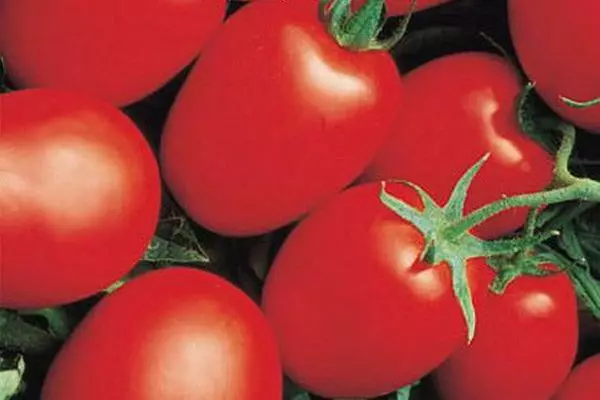 Vintage pomidorai.