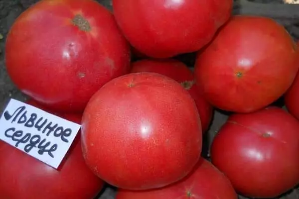番茄狮心心：品种的特征和描述，它的收益率