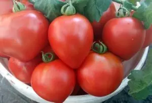 Pomidor arslan ýüregi: dürlüligiň häsiýetli we düşündirişi, suraty bilen hasyly 10378_5