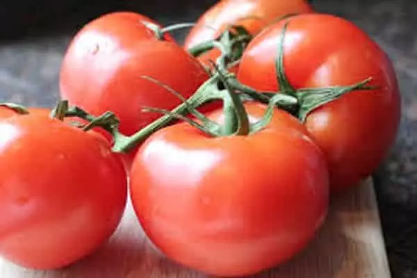 Cabang tomat.
