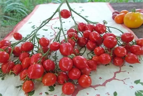 Awọn tomati lori tabili