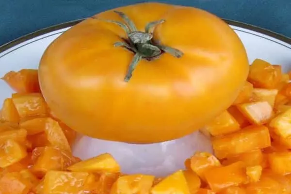 Tomato Gilded Belash