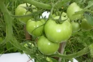 Beskrivning av Tomatsorten Extremal, dess egenskaper och odling
