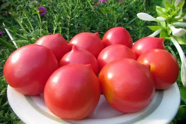 Yetişmiş pomidor