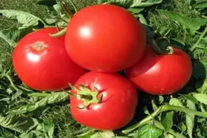 Descripción de la variedad de Tomate Atlantis, características de crecimiento y cosecha.