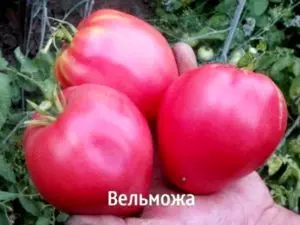 Velosos pomidorų veislės ir jo derties būdingas ir aprašymas